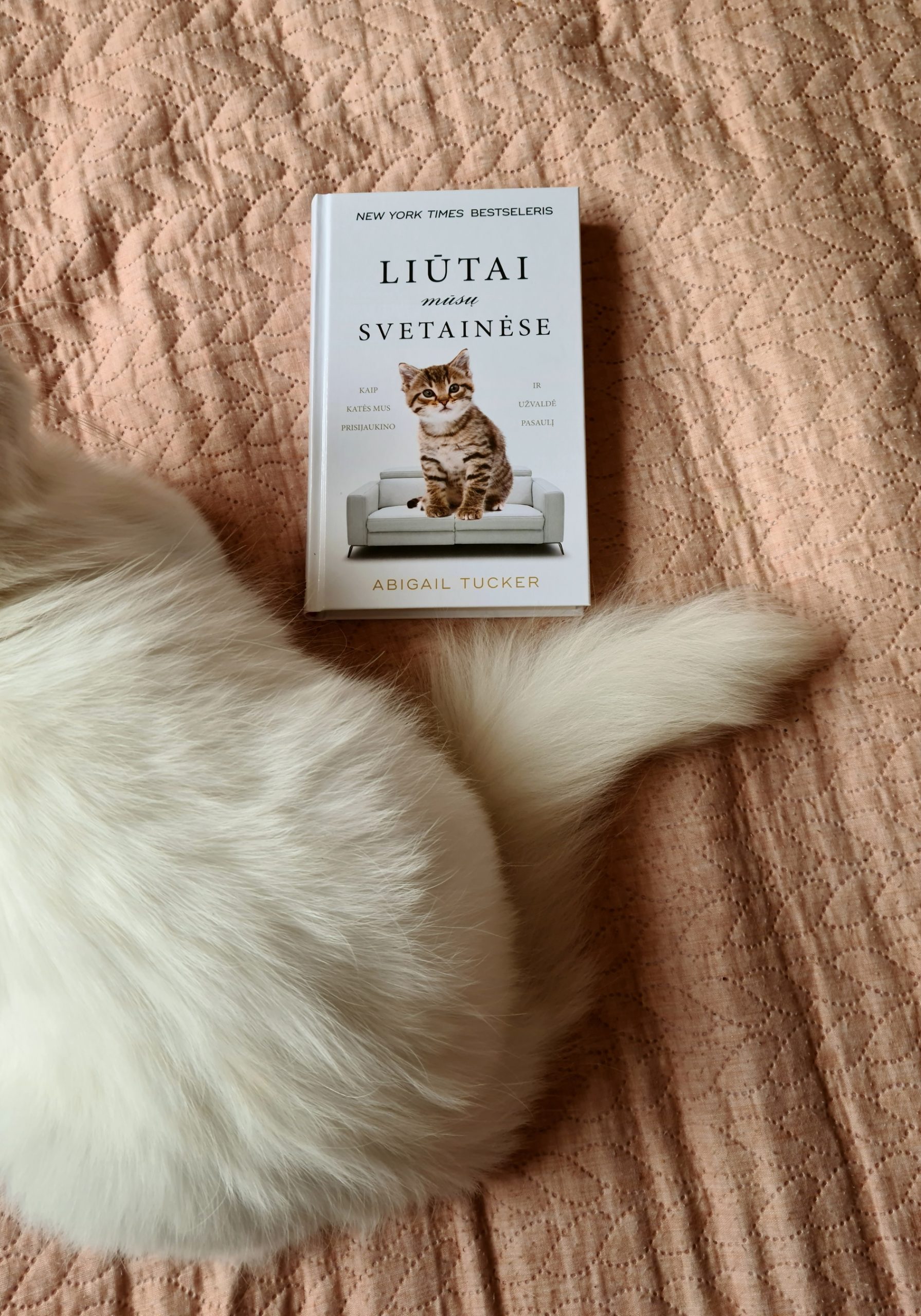 Abigail Tucker „Liūtai mūsų svetainėse: kaip katės mus prisijaukino ir ...